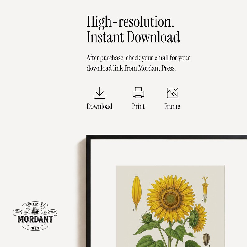 Sunflower Print, Funny Vintage Flower Poster, Sarcastic Nature Wall - Etsy