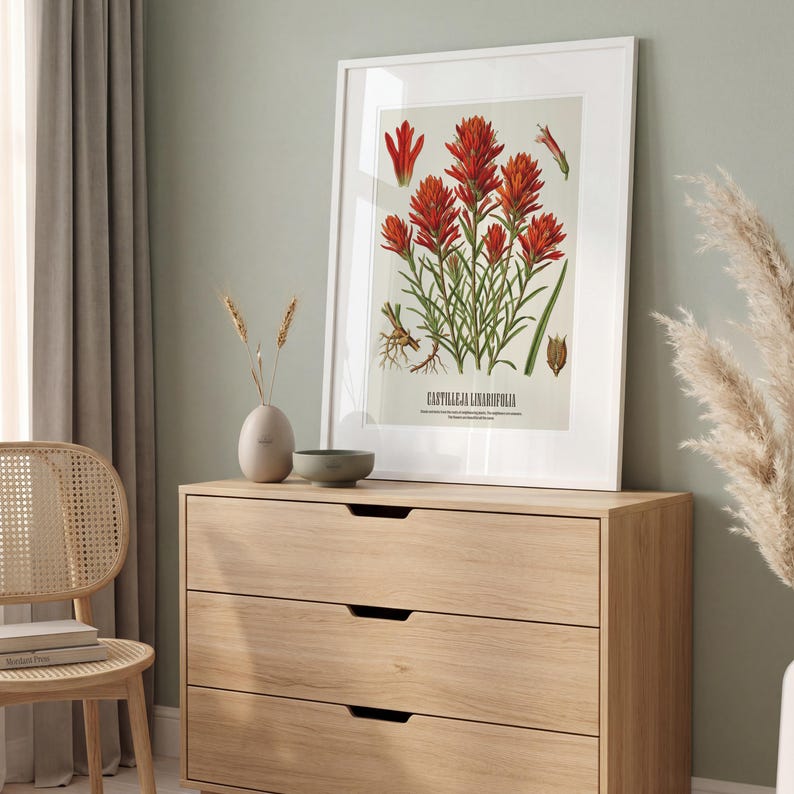 Sarcastic Nature Art, Wyoming Indian Paintbrush Print, Castilleja ...
