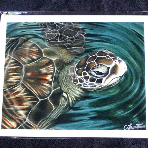 Sea Turtle Colored Pencil Drawing PRINT - Etsy