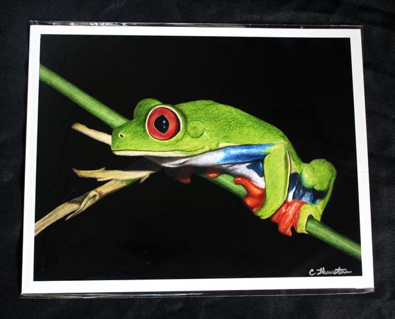 Red-eyed Tree Frog Drawing PRINT | Etsy