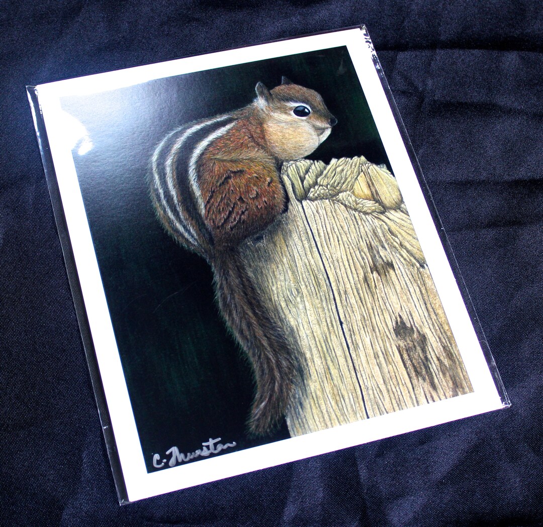 Chipmunk Colored Pencil Drawing - PRINT - Etsy