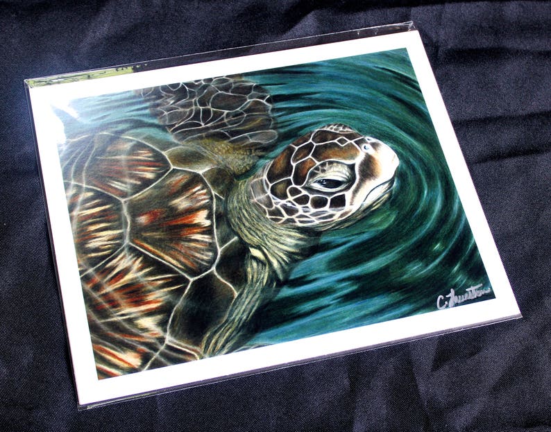 Sea Turtle Colored Pencil Drawing PRINT - Etsy