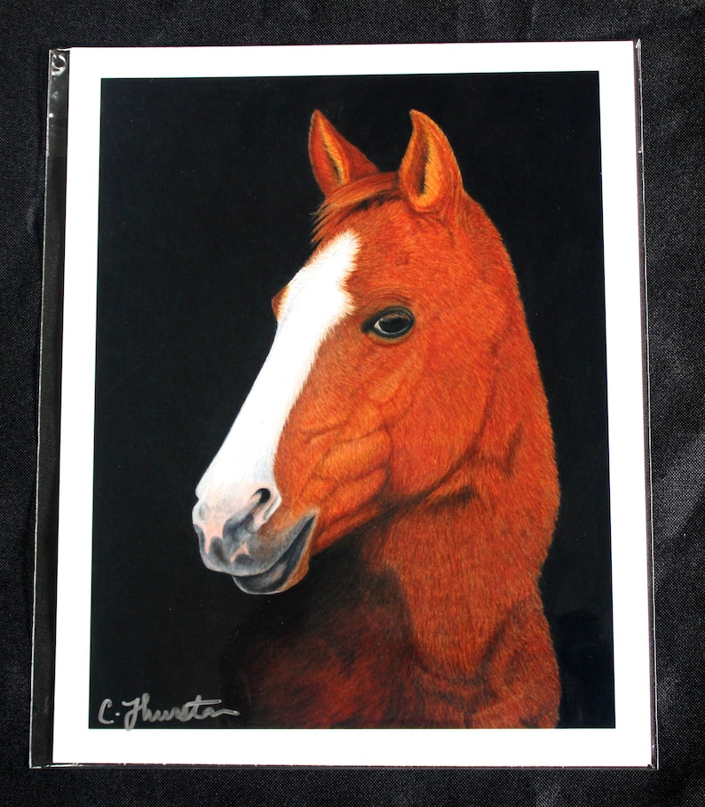 American Quarter Horse Drawing - PRINT - Etsy