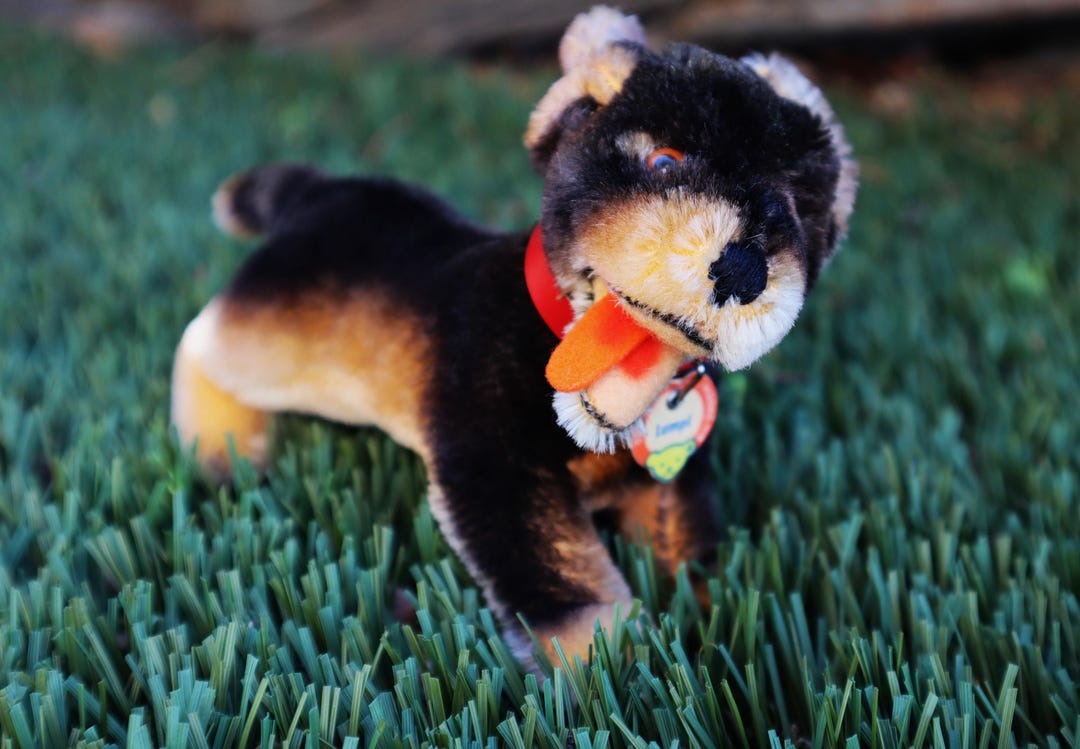 Steiff Dachshund Dog Lumpy, ALL Ids #4200,11 (11cm) 1969-74 German Art ...