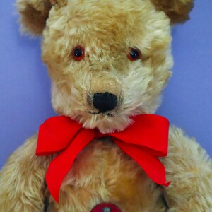 Chiltern Hugmee Bear Vintage Antique Mohair Large Teddy 22" Tall, 1950s ...