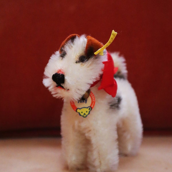 Miniature Foxy Dog - Etsy