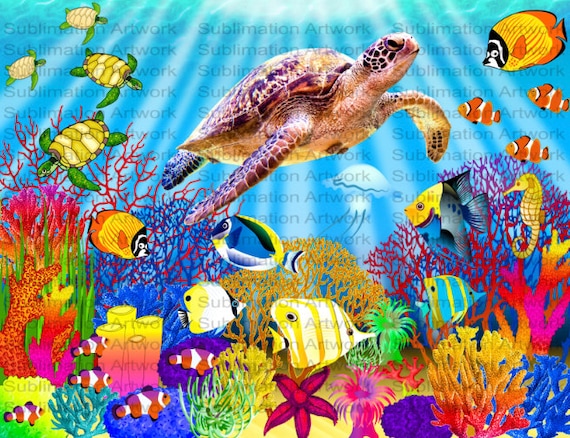 Coral Reef Fish Drawings