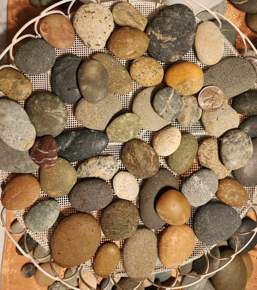 50+ Almost Round and Oval Medium Beach Stones Fountain Mosaic Terrarium ...