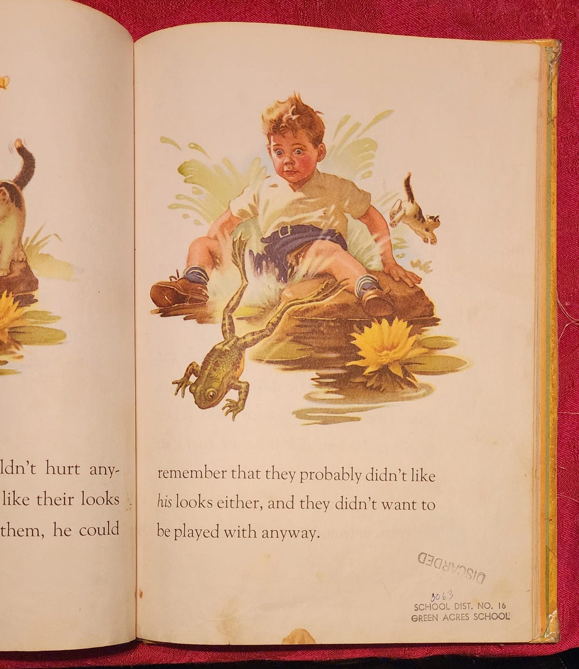 Boo (who Used to Be Scared of the Dark) by Munro Leaf Vintage Children ...