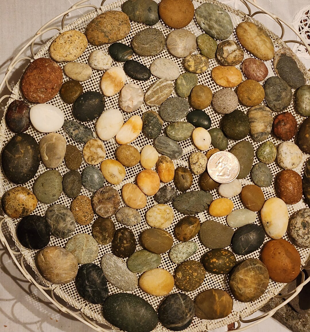 100 Almost Round and Oval Beach Stones Gardening Terrarium Aquarium Zen ...