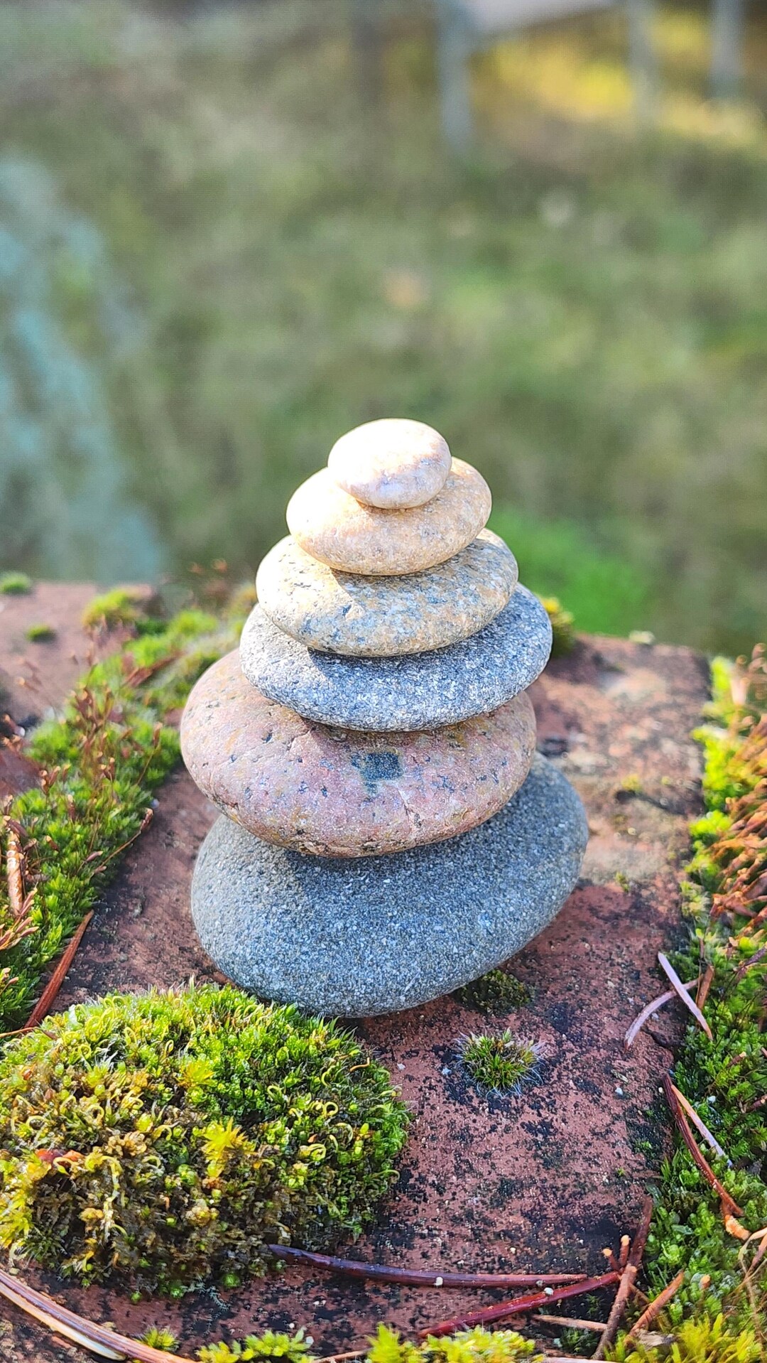 Small Sweet Oval Beach Stone Stack 6 Natural Ocean Rocks Terrarium Zen ...
