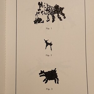 Images in Stone a Theory on Interpreting Rock Art by Guy Lanoue Art ...