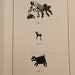Images in Stone a Theory on Interpreting Rock Art by Guy Lanoue Art ...
