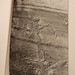 Images in Stone a Theory on Interpreting Rock Art by Guy Lanoue Art ...