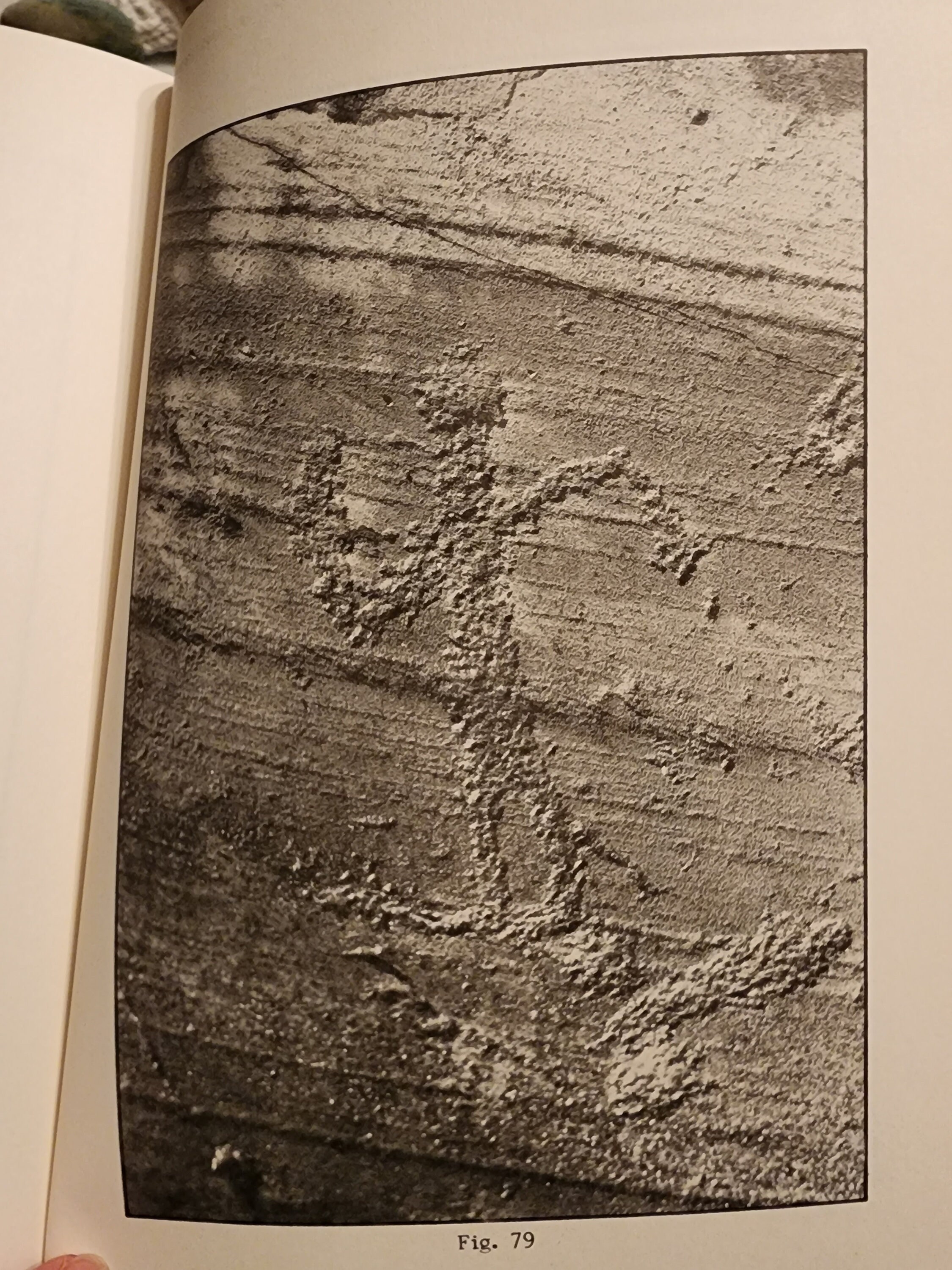 Images in Stone a Theory on Interpreting Rock Art by Guy Lanoue Art ...