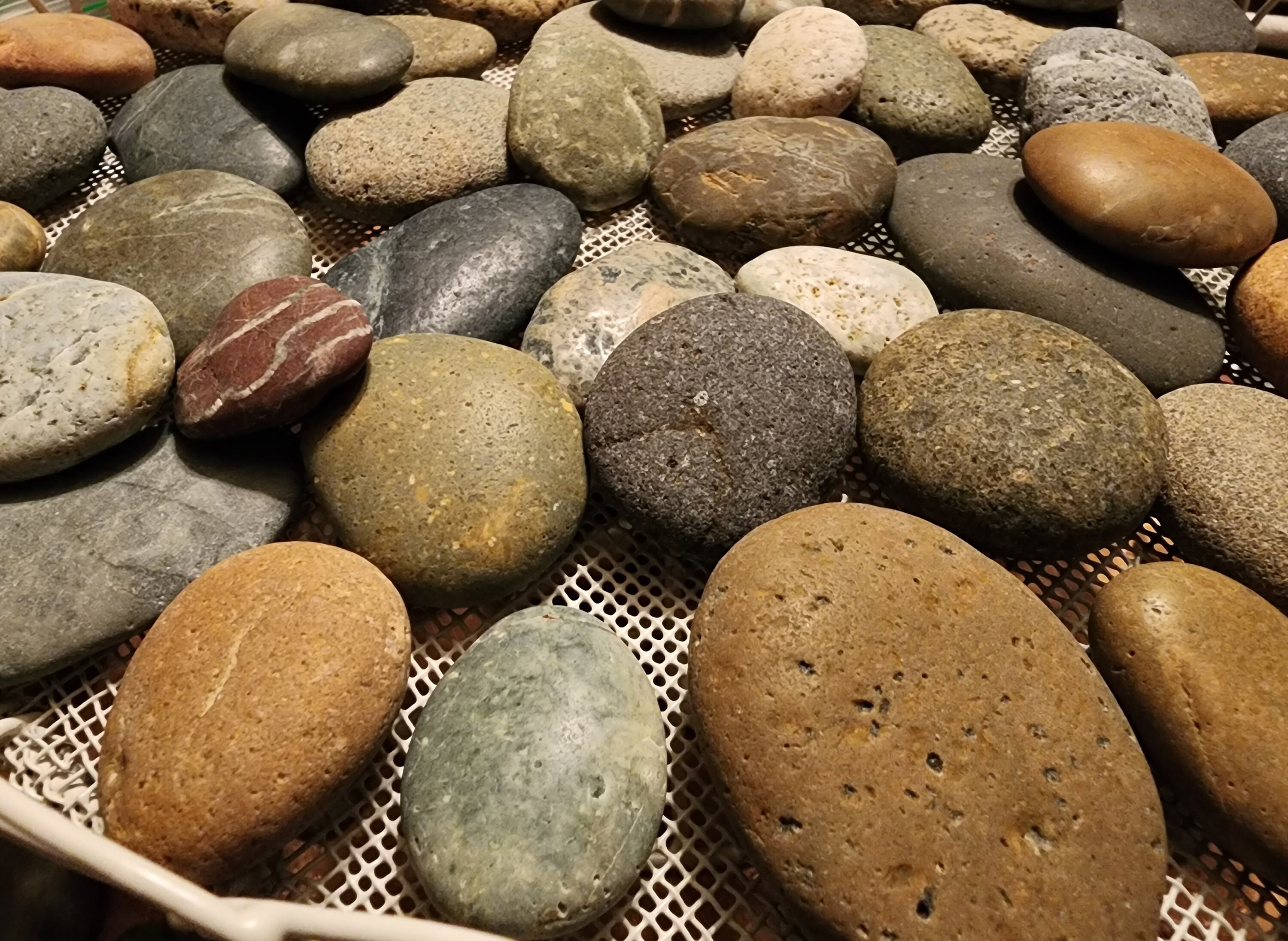 50+ Almost Round and Oval Medium Beach Stones Fountain Mosaic Terrarium ...