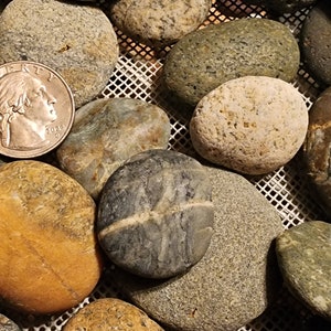 50+ Almost Round and Oval Medium Beach Stones Fountain Mosaic Terrarium ...