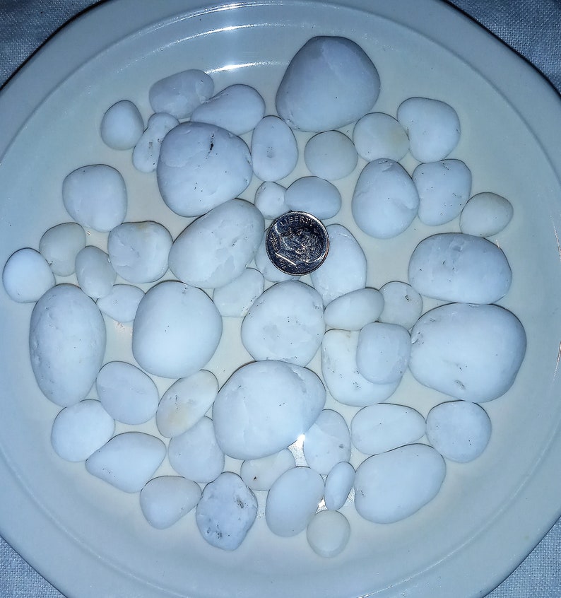 50 White Mostly White Beach Rocks Natural Ocean Stones Garden Mosaic ...