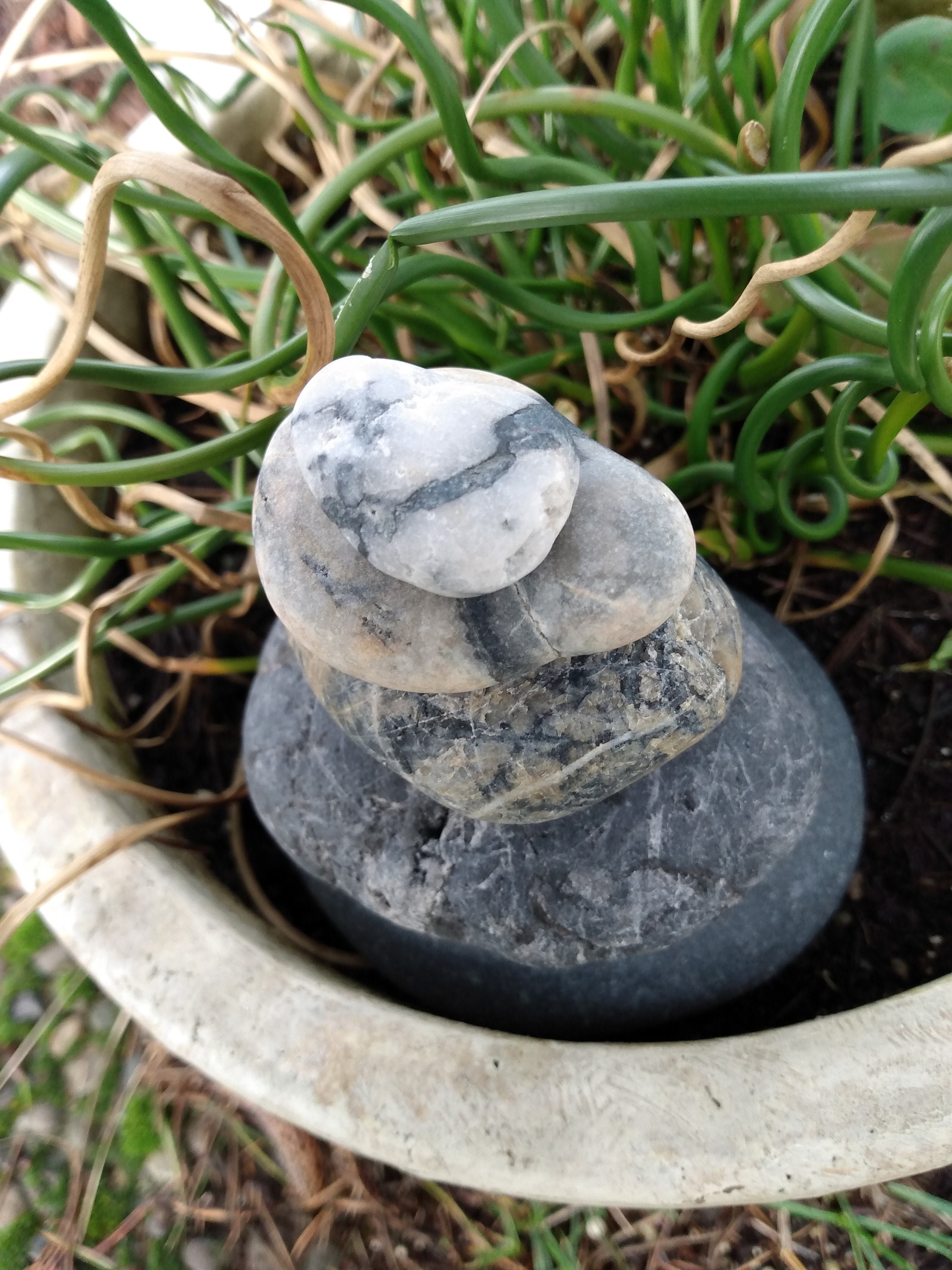 Unique Beautiful Chunky Lovely Ocean Rocks 5 Natural Beach Stones Zen ...