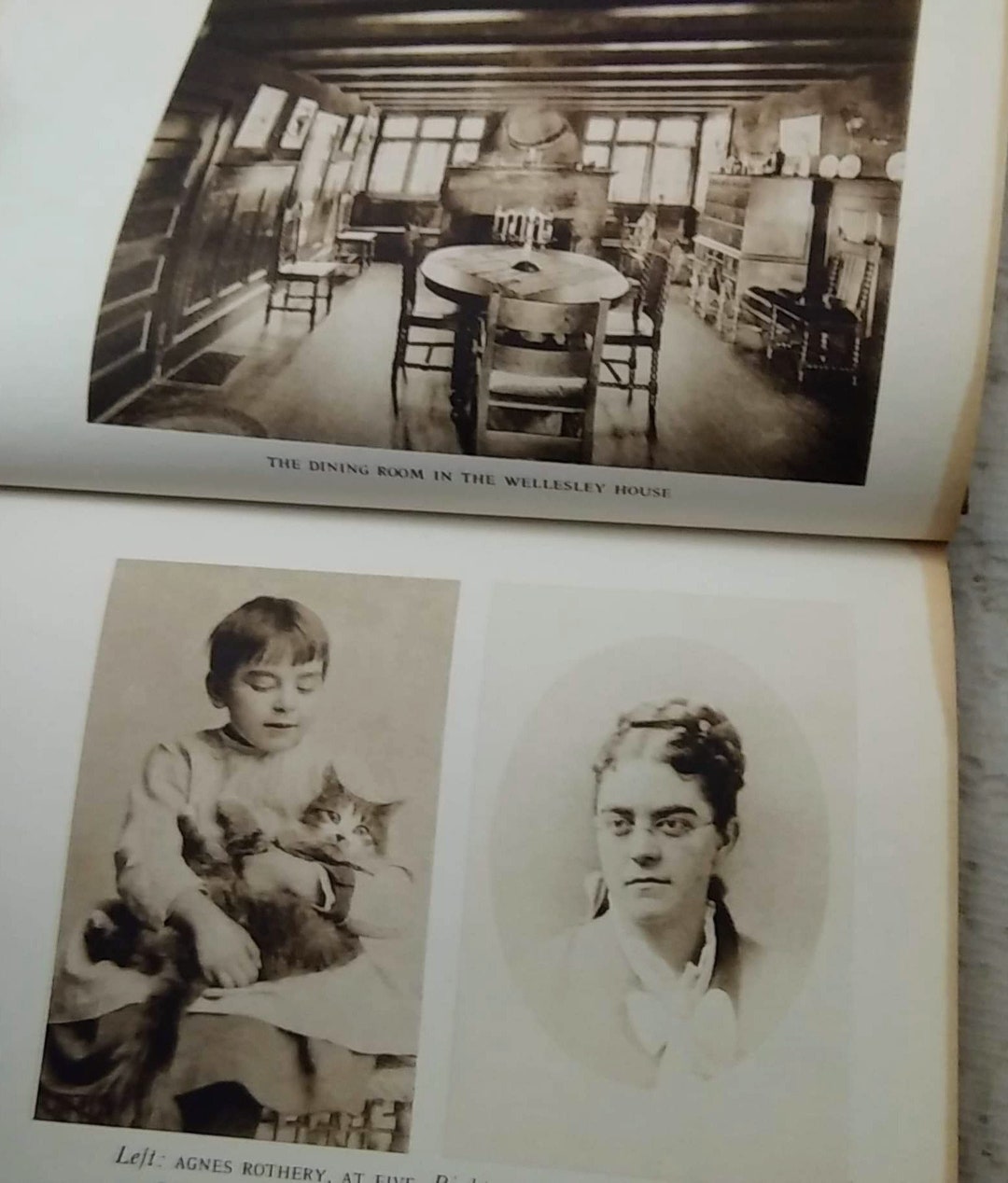 Family Album by Agnes Rothery 1942 Charming True Family Story! - Etsy