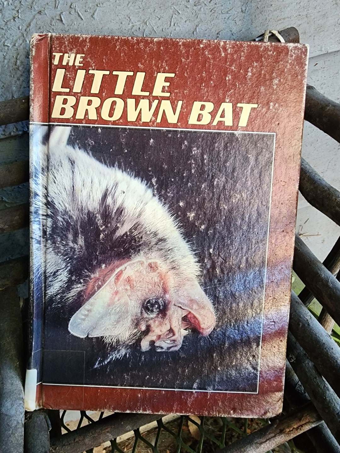 The Little Brown Bat by Carl R. Green, William R. Sanford Edited: Dr ...