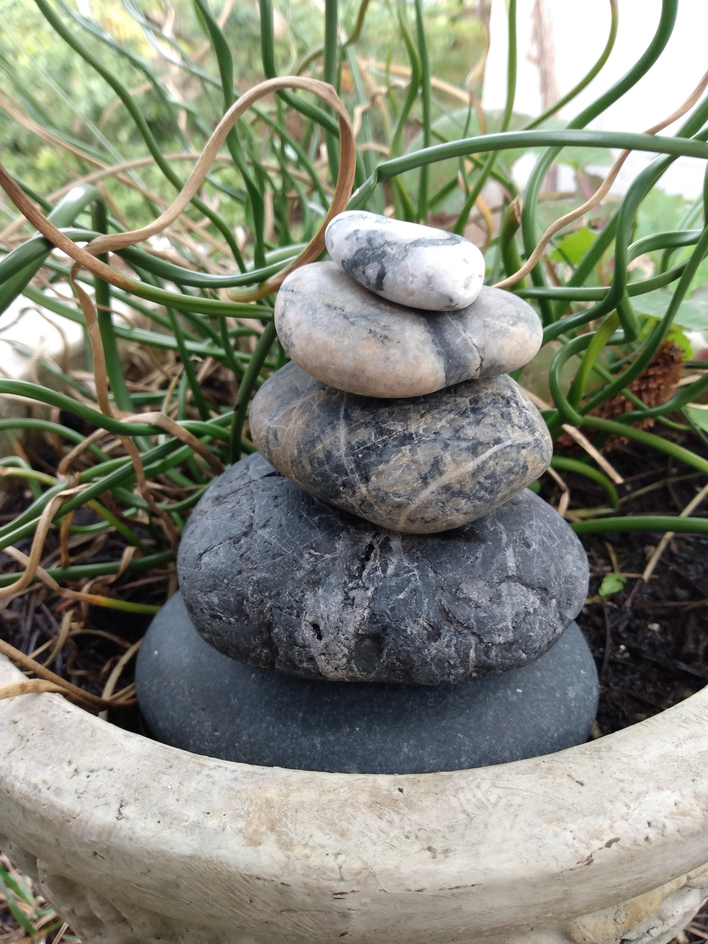 Unique Beautiful Chunky Lovely Ocean Rocks 5 Natural Beach Stones Zen ...