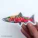 COHO SALMON, Vinyl Sticker, Fish Art - Etsy