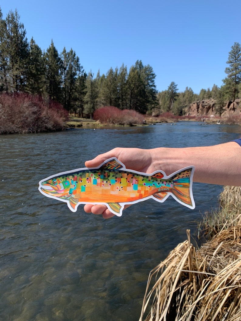 BROWN TROUT 2 Vinyl Sticker Fish Art Decal - Etsy