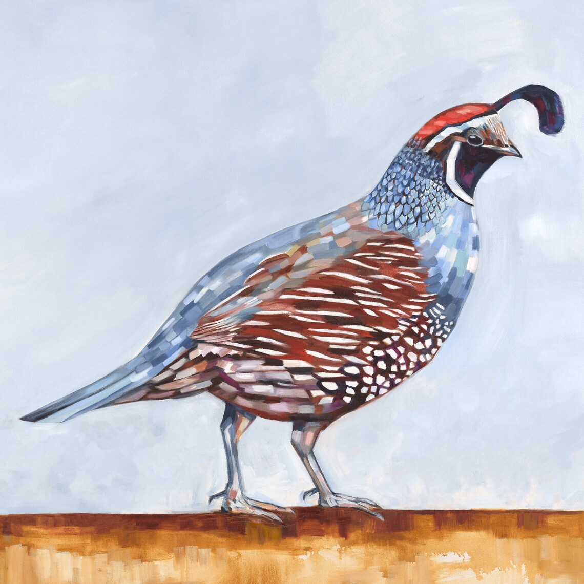 CALIFORNIA QUAIL Archival Ink Print of Original Painting - Etsy