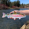 STEELHEAD TROUT Archival Print of Original Fish Painting - Etsy
