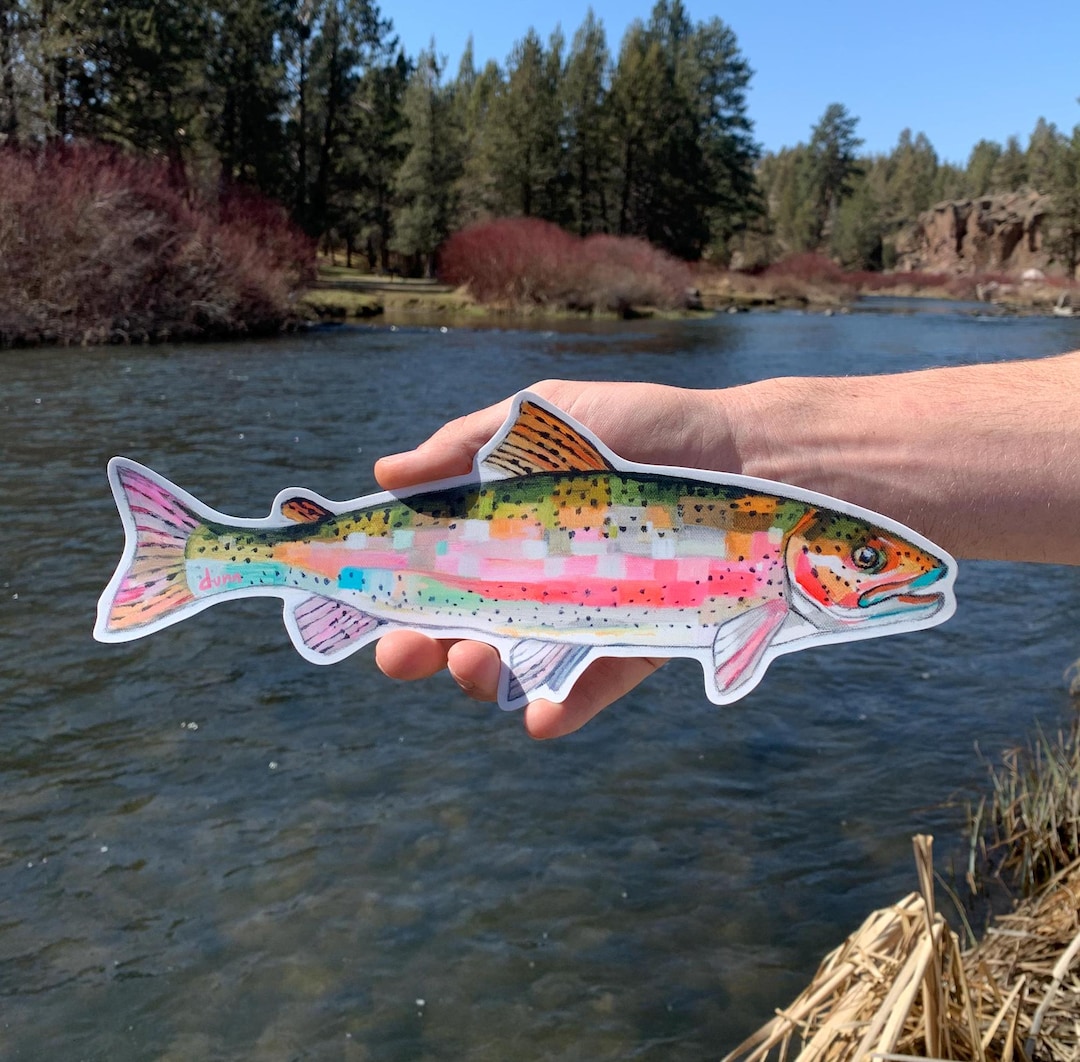 RAINBOW TROUT, Vinyl Sticker, Fish Art, Decal - Etsy