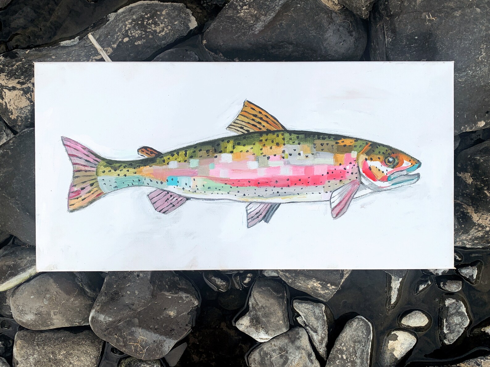 RAINBOW TROUT Archival Print of Original Fish Painting | Etsy