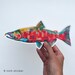 COHO SALMON, Vinyl Sticker, Fish Art - Etsy
