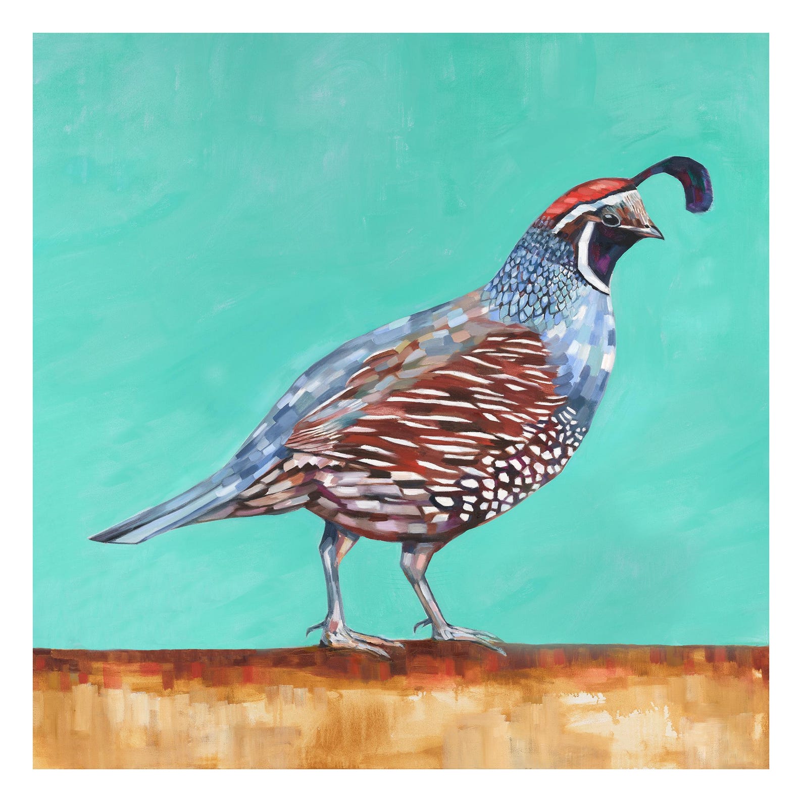 CALIFORNIA QUAIL - Archival Ink Print of Original Painting - Etsy