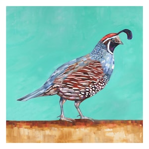 CALIFORNIA QUAIL - Archival Ink Print of Original Painting - Etsy