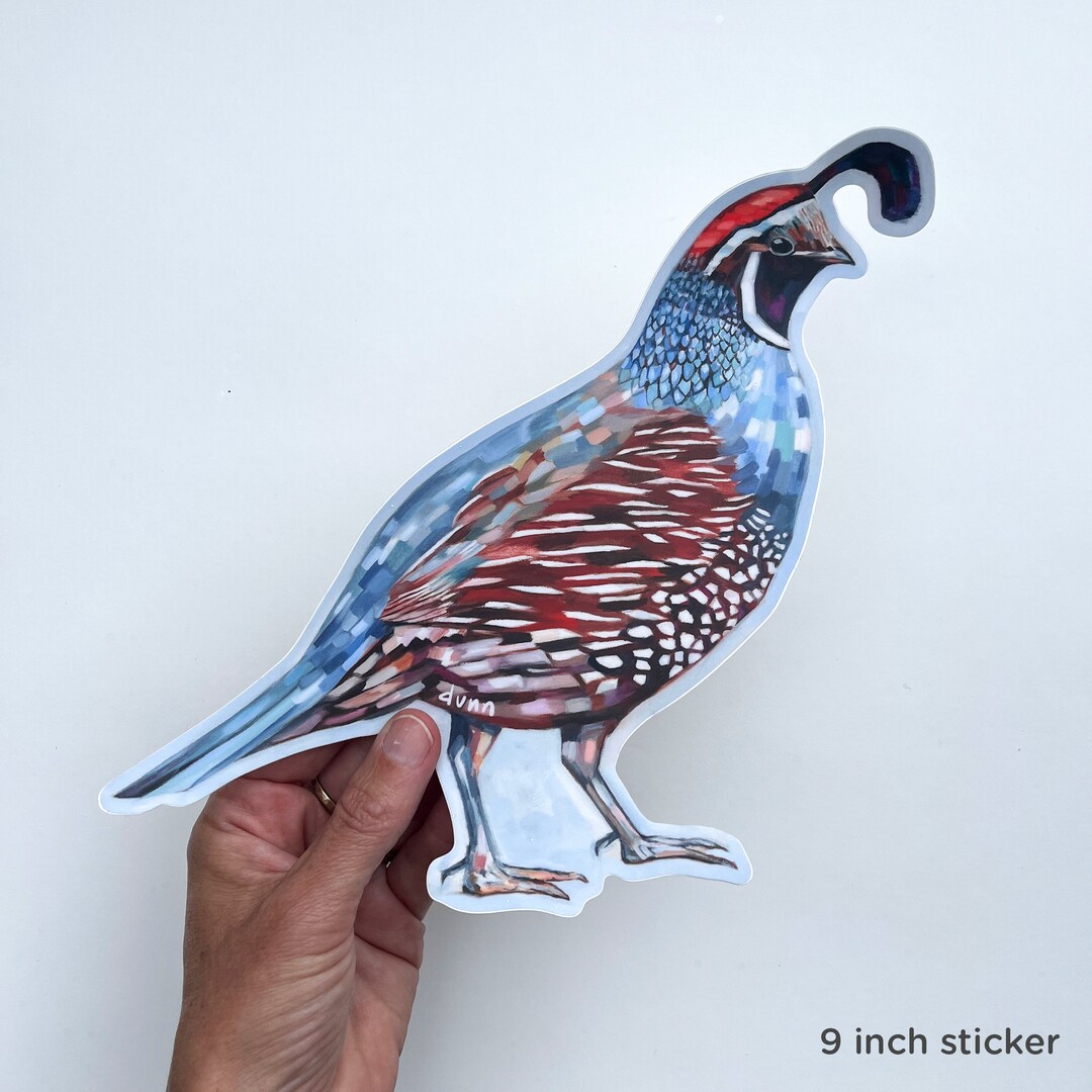 CALIFORNIA QUAIL - Durable Vinyl Sticker, Waterproof, Uv Resistant ...