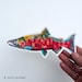 COHO SALMON, Vinyl Sticker, Fish Art - Etsy