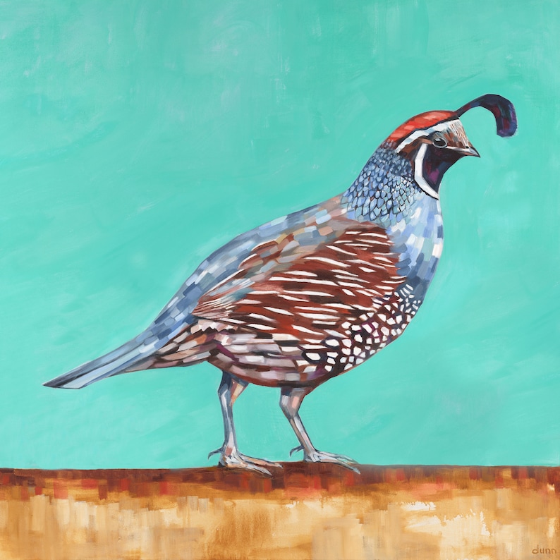 CALIFORNIA QUAIL Archival Ink Print of Original Painting - Etsy