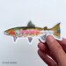 STEELHEAD TROUT Vinyl Sticker Fish Art Decal - Etsy