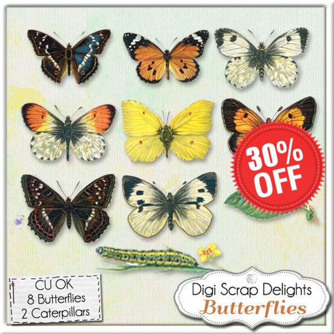 Butterfly Clip Art Set 3: Realistic Butterfly Digital - Etsy