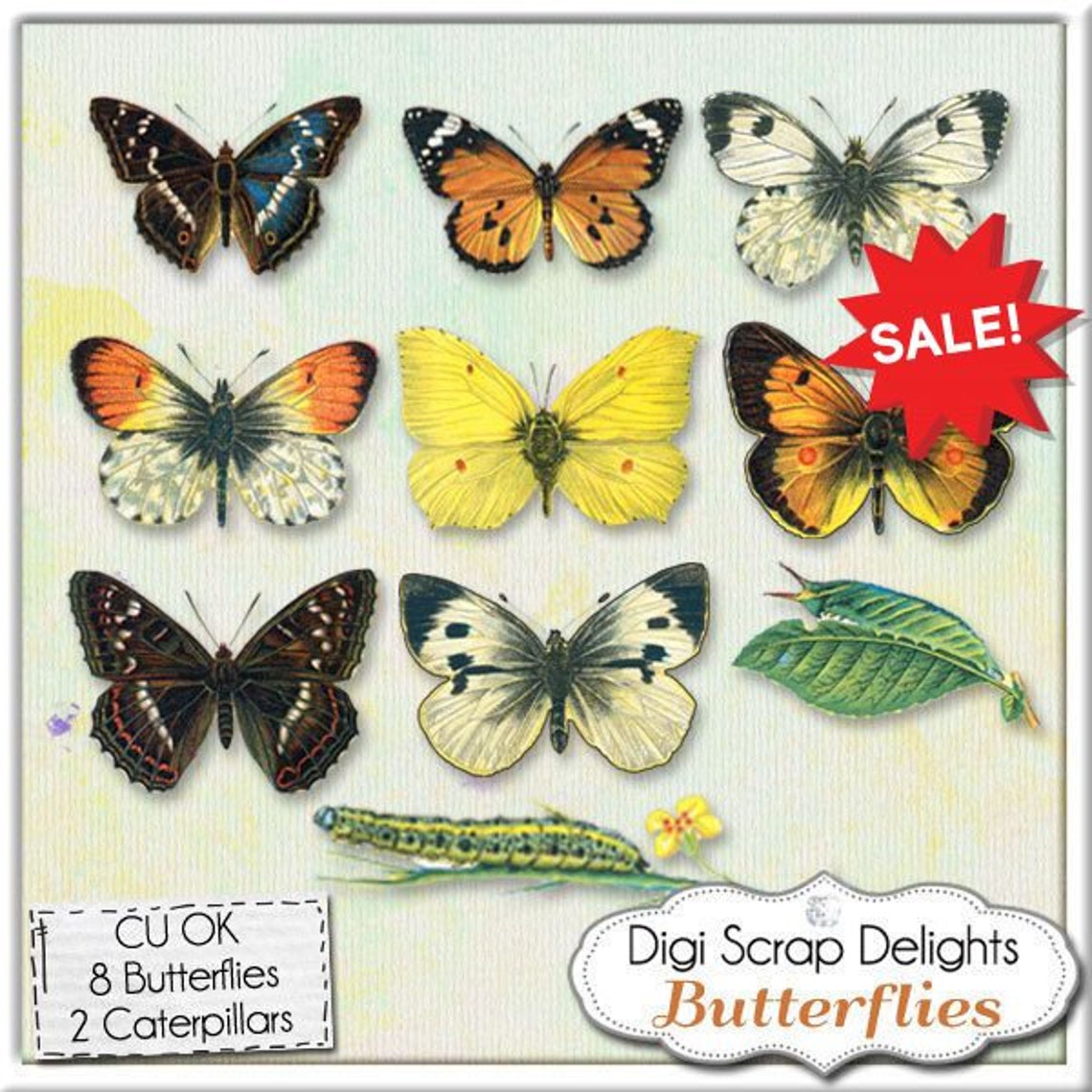 Butterfly Clip Art Set 3: Realistic Butterfly Digital | Etsy