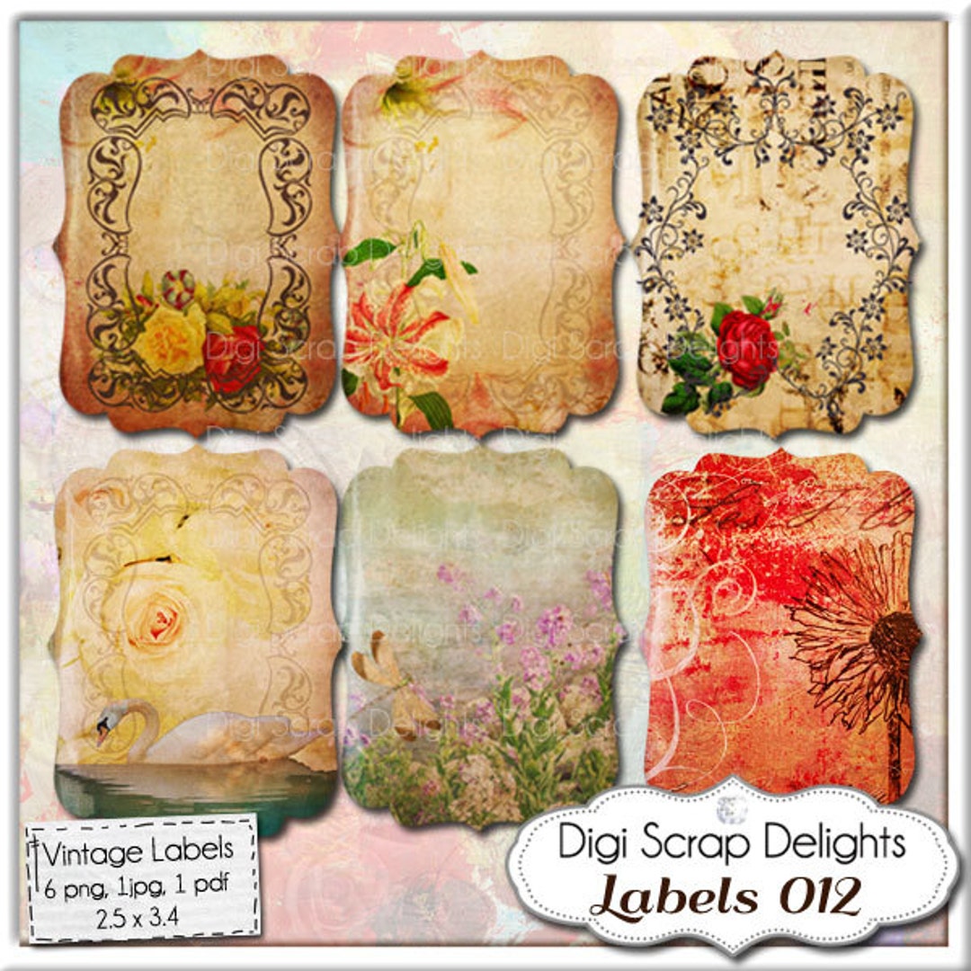 Vintage Label Clip Art: Floral Grunge Frames (digital Download) - Etsy