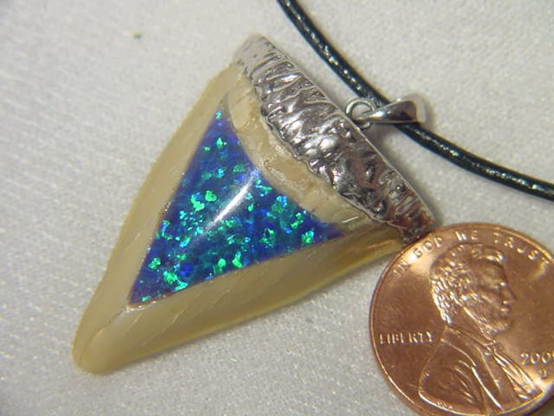 Sterling Silver Fossil Shark Tooth Inalid Opal Lapidary 4153B | Etsy