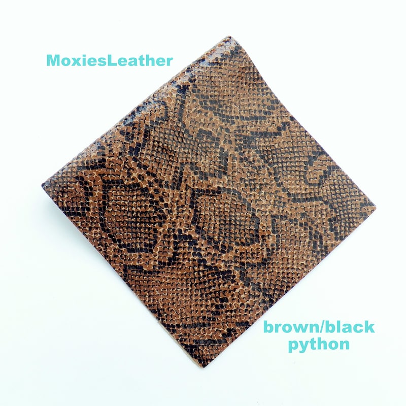 Genuine Snake Skin Earrings - Etsy