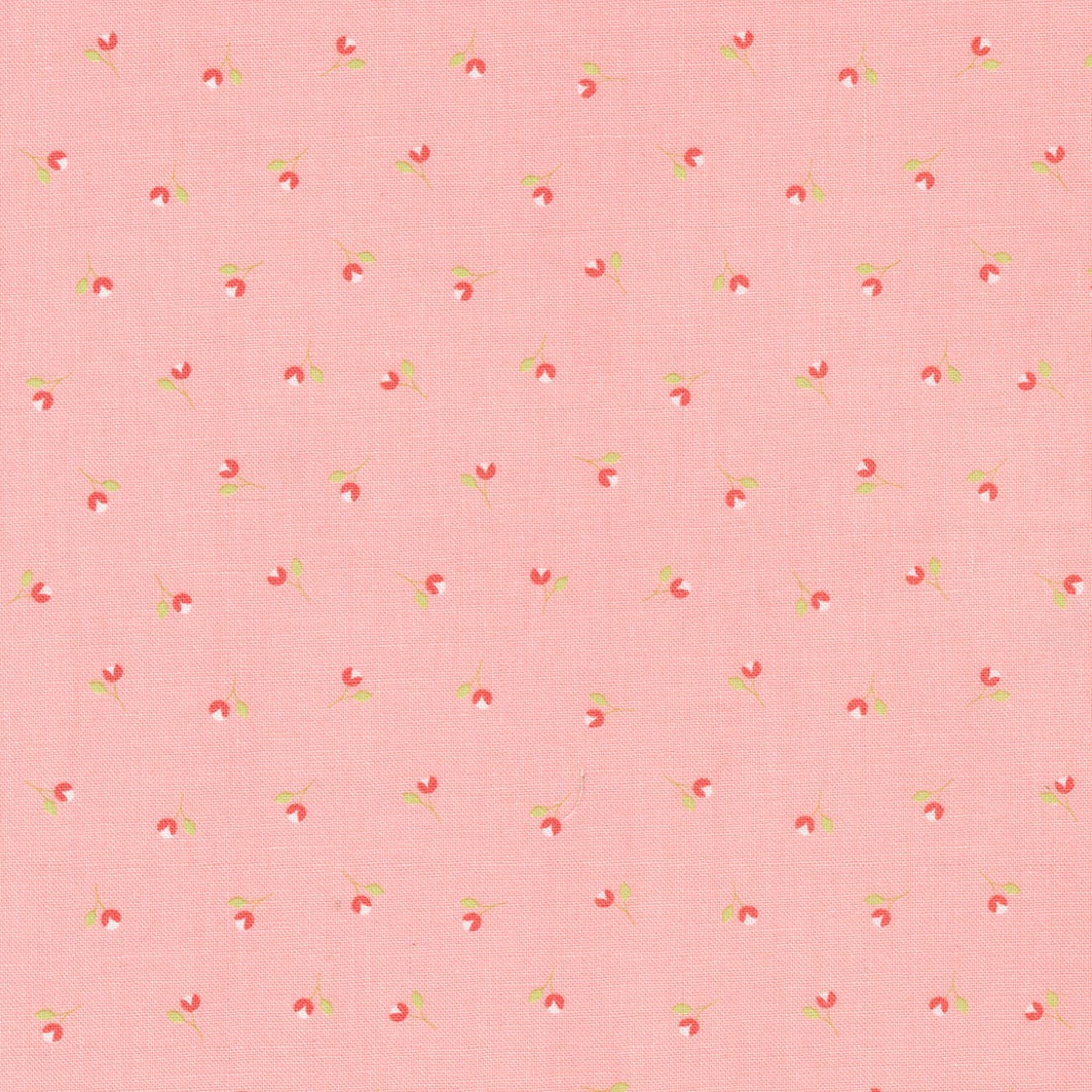 Sunwashed Bittie Buds Carnation 29164 22 by Corey Yoder- Moda- 1 Yard ...