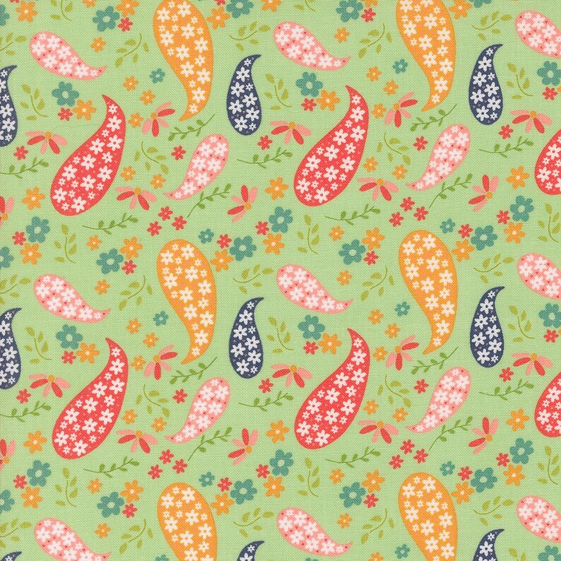 PREORDER Raspberry Summer Paisley Mint 37691 15 by Sherri and Chelsi ...