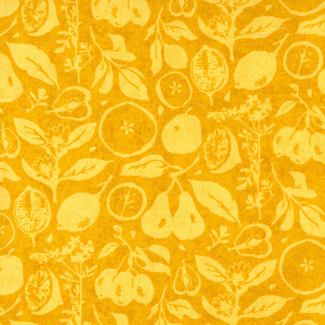 Fruit Loop Sun Dried Sunshine 30732 16 by Basic Grey for Moda- 1/2 Yard ...