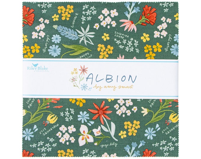 Albion 10" Stacker 10-14590-42 by Amy Smart for Riley Blake Designs- - Etsy