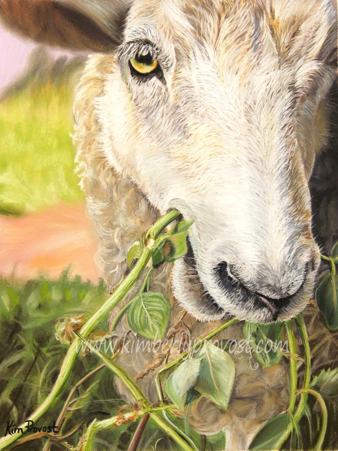 Sheep Art Print | Sheep Print | Sheep Art | Sheep Home Decor | Sheep ...