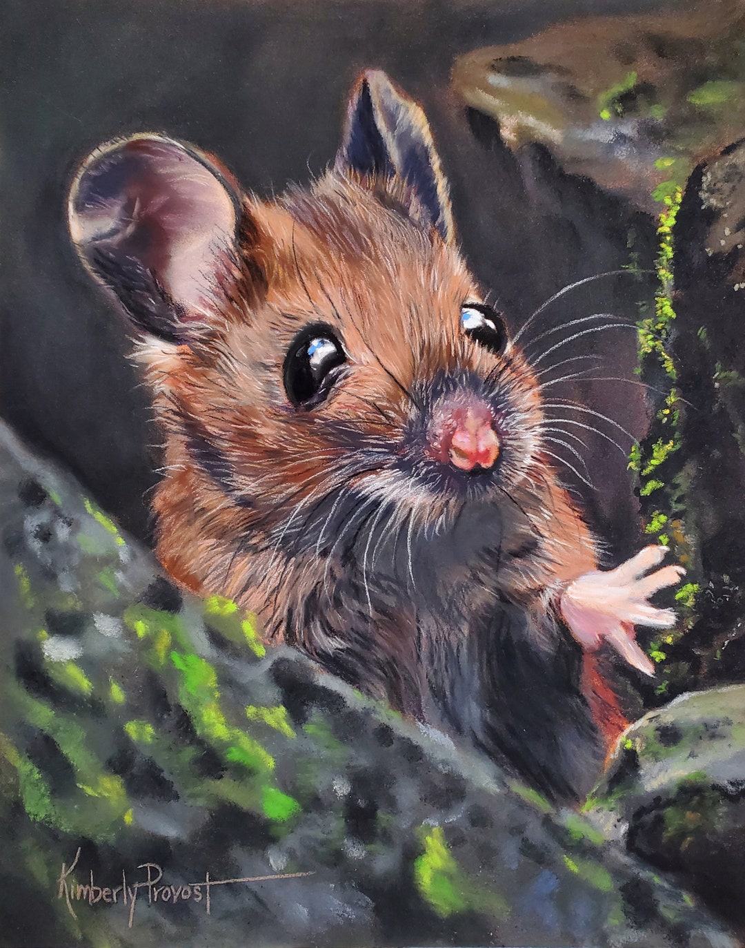 Art Print of Mouse/nature/moss/vermont Made 8x10 or 11x14 Mouse Print ...